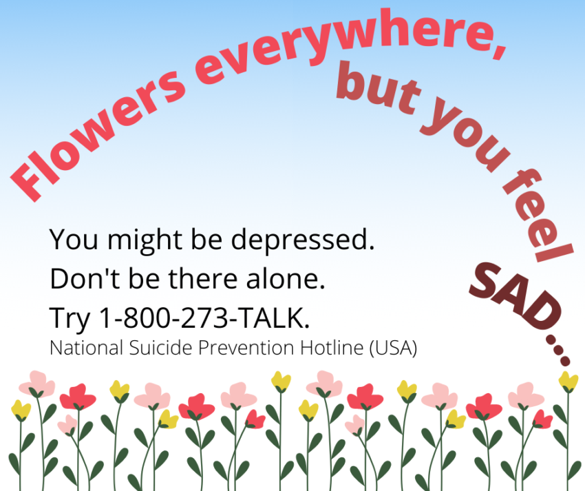 Carolyn Cates, Songwriter – "A Little Bit of Every Kind of Music ...